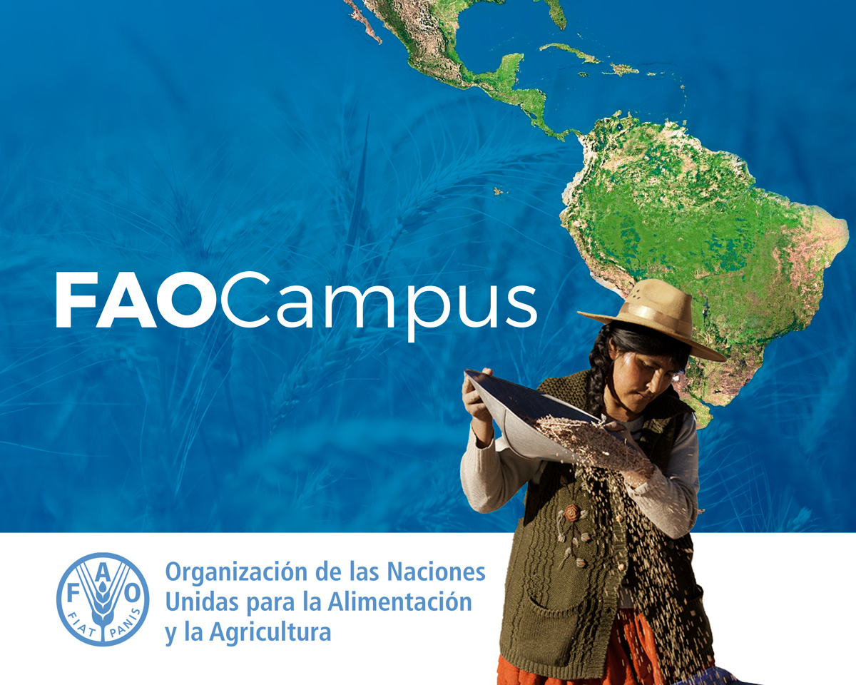 Curso: Trayecto de capacitación: Fortalecimiento de Capacidades en ...