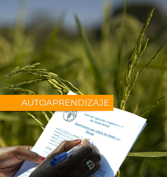 FAO Capacitación: Programa de capacitación en agricultura familiar y ...