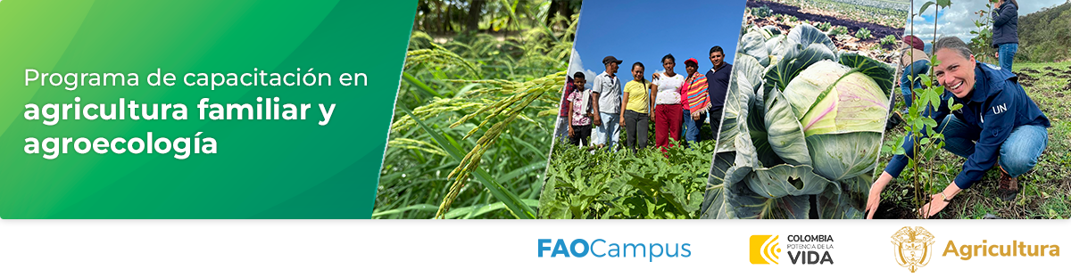 FAO Campus: Programa de capacitación en agricultura familiar y ...