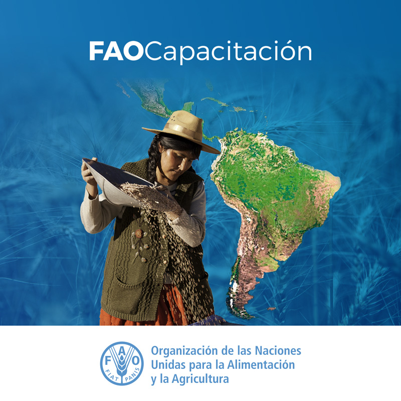FAO Capacitación para América Latina y el Caribe: Iniciar sesión en el ...